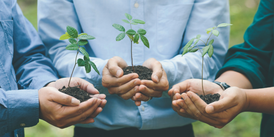 Centrick Leadership | About Us | Centrick